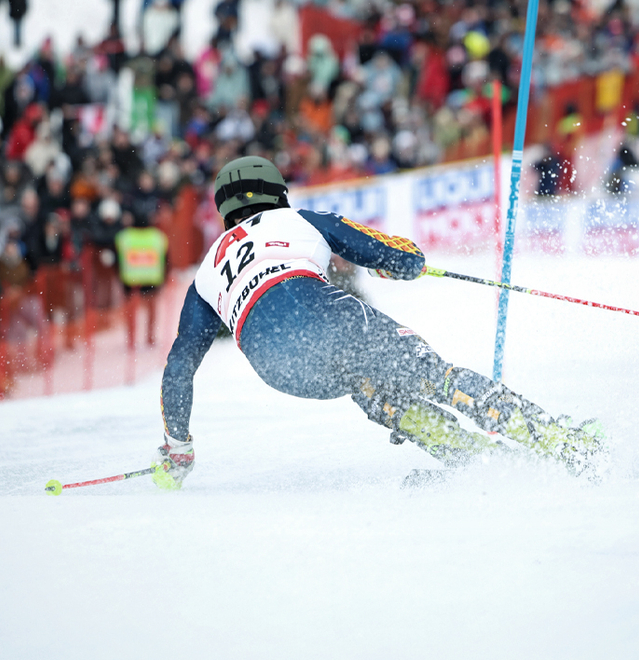 Alpine Racing | Fischer Sports